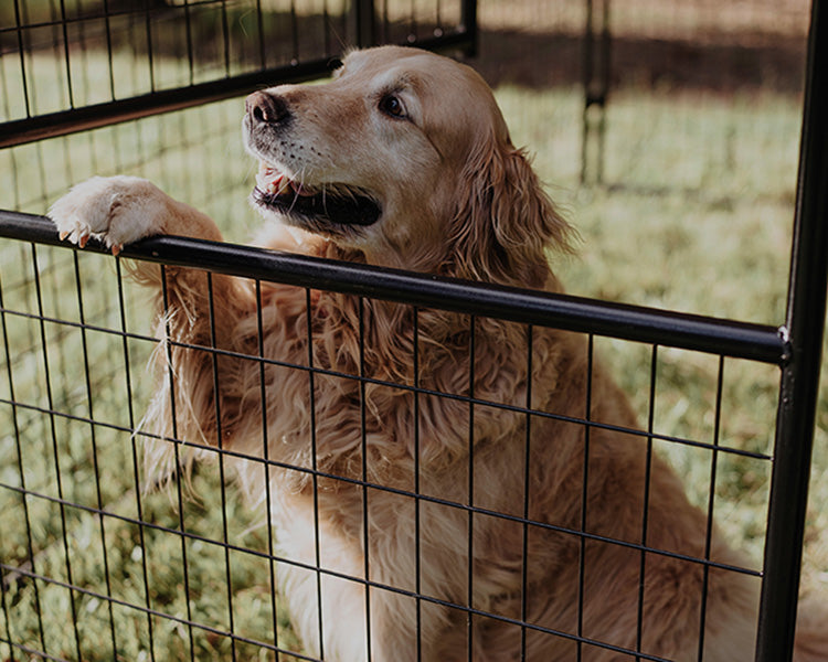 Jewett Cameron Company