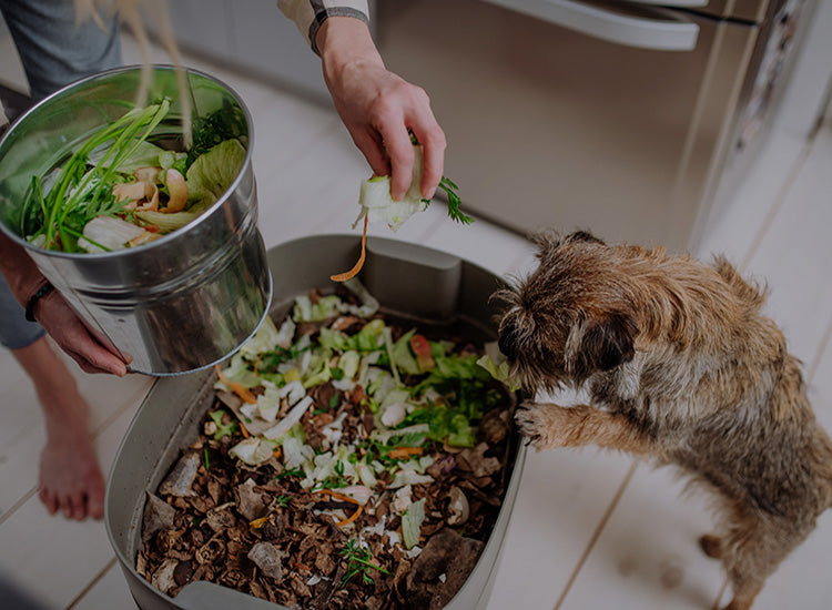 Jewett Cameron Company